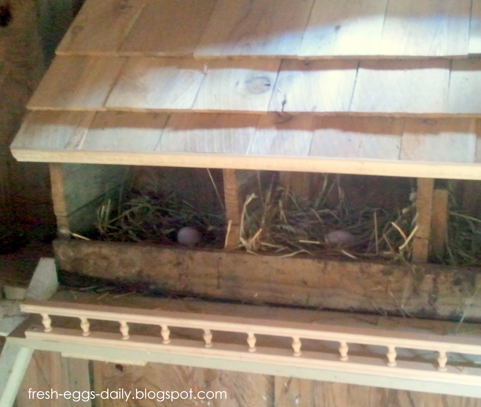 Converting a Lean-to into a Chicken Coop - Fresh Eggs Daily® with Lisa ...