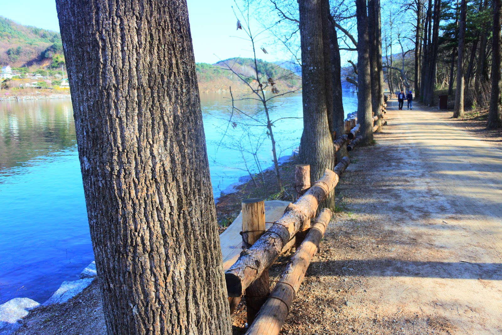 Jalan - jalan Korea 2017: Musim bunga di Garden of Morning Calm dan ...