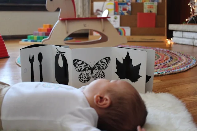 Black and White Images -- Montessori Baby Week 5