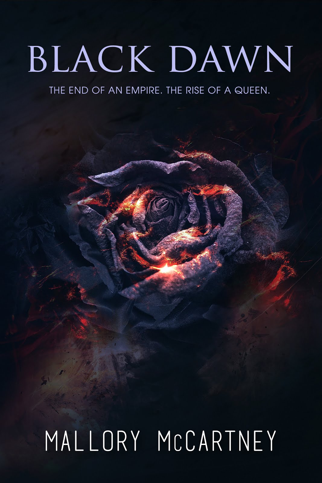 Blog Tour: Black Dawn