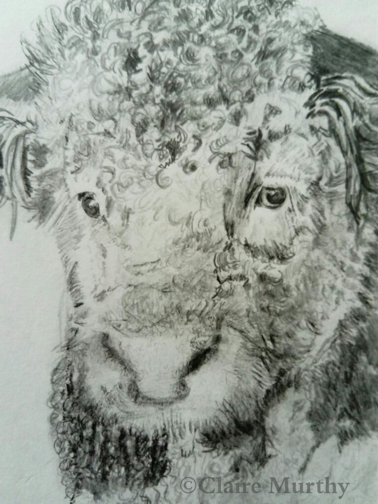 British Wildlife Graphite and Ink