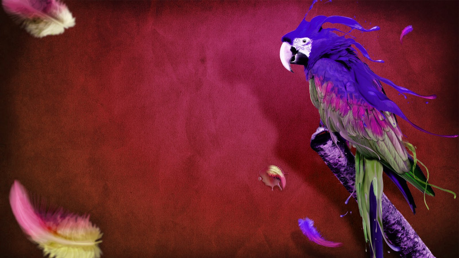 Hd 3d Birds Wallpapers