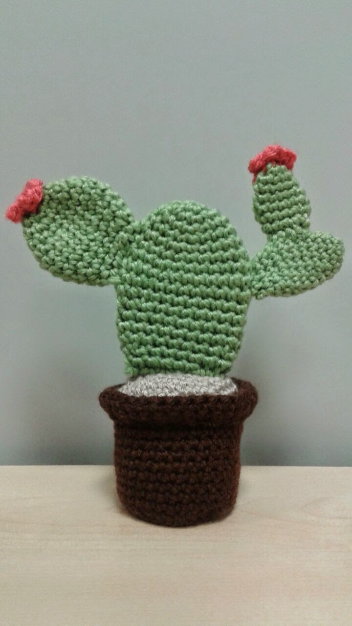 Líos de ovillos: Cactus plano