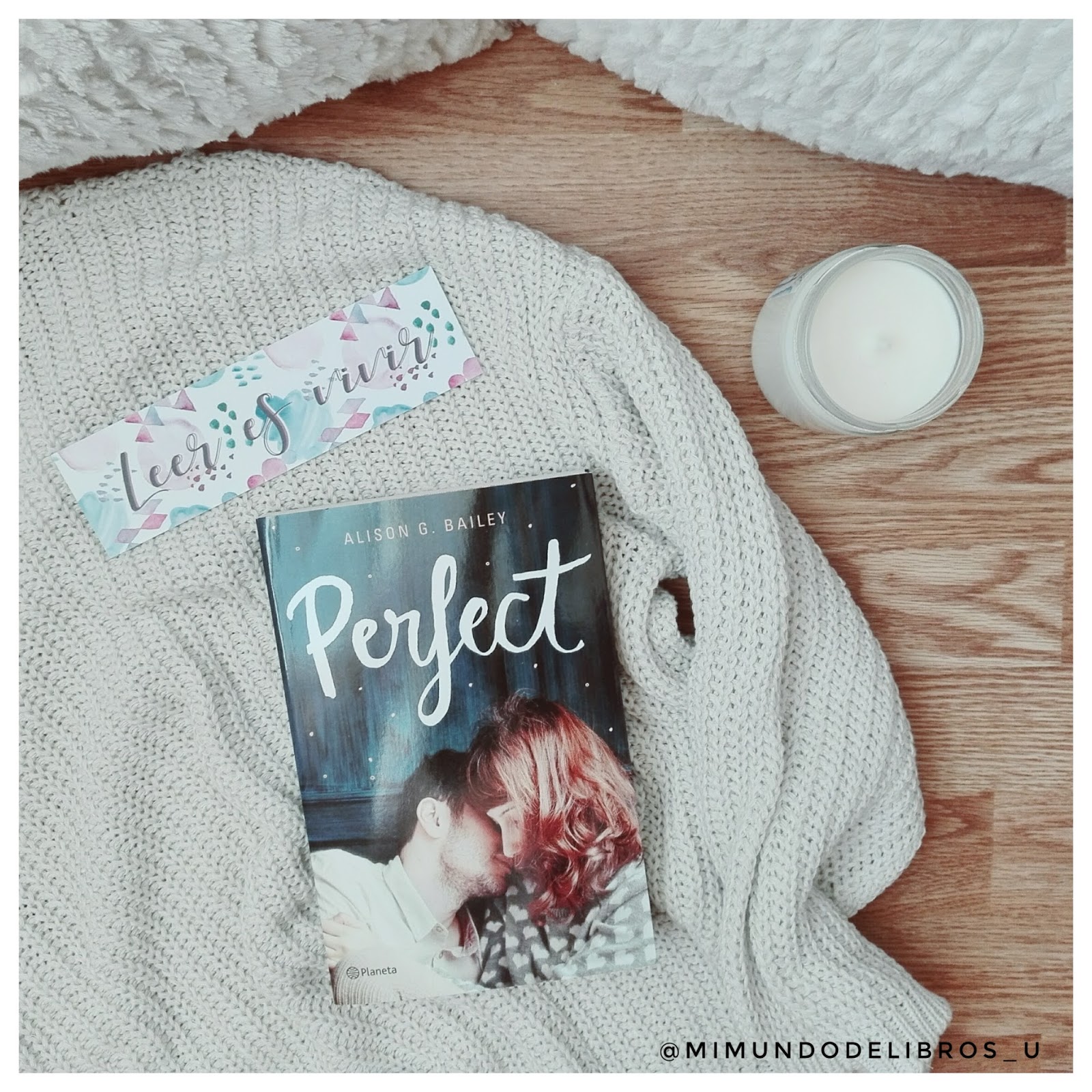 RESEÑA: PERFECT - ALISON G. BAILEY | Mi Mundo de libros