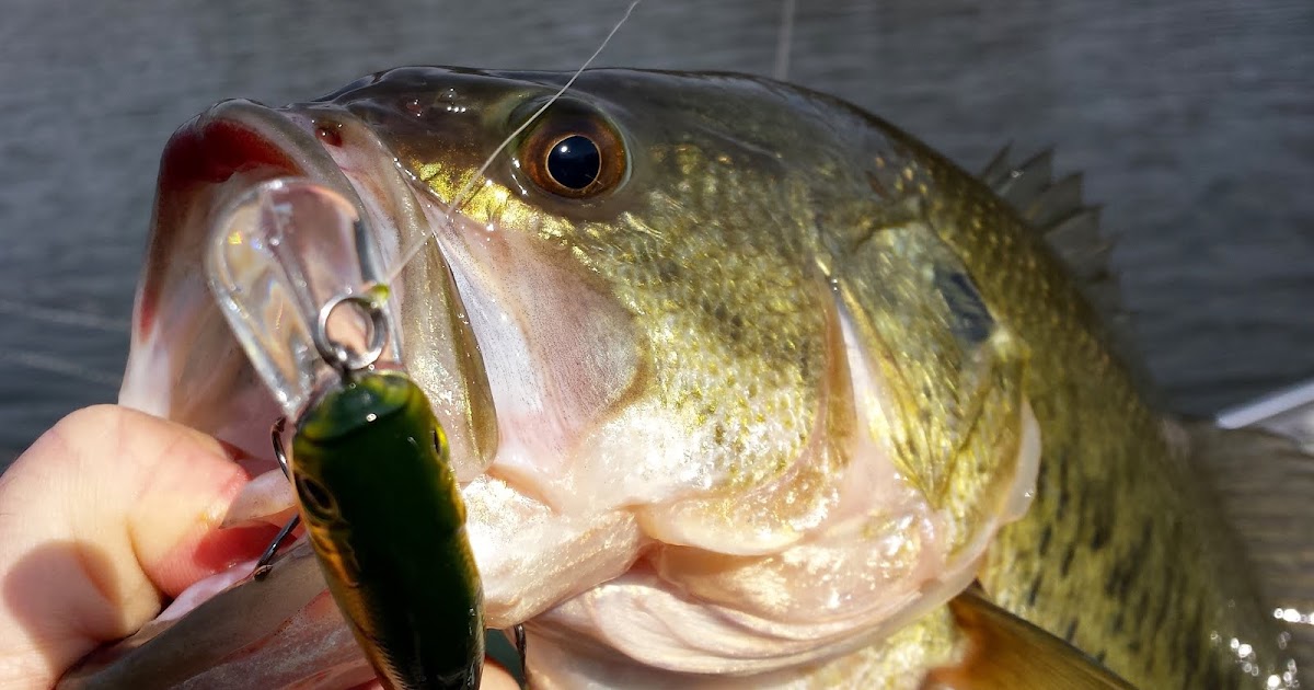 NumenOn the Water: Easter Day Bass Fishing