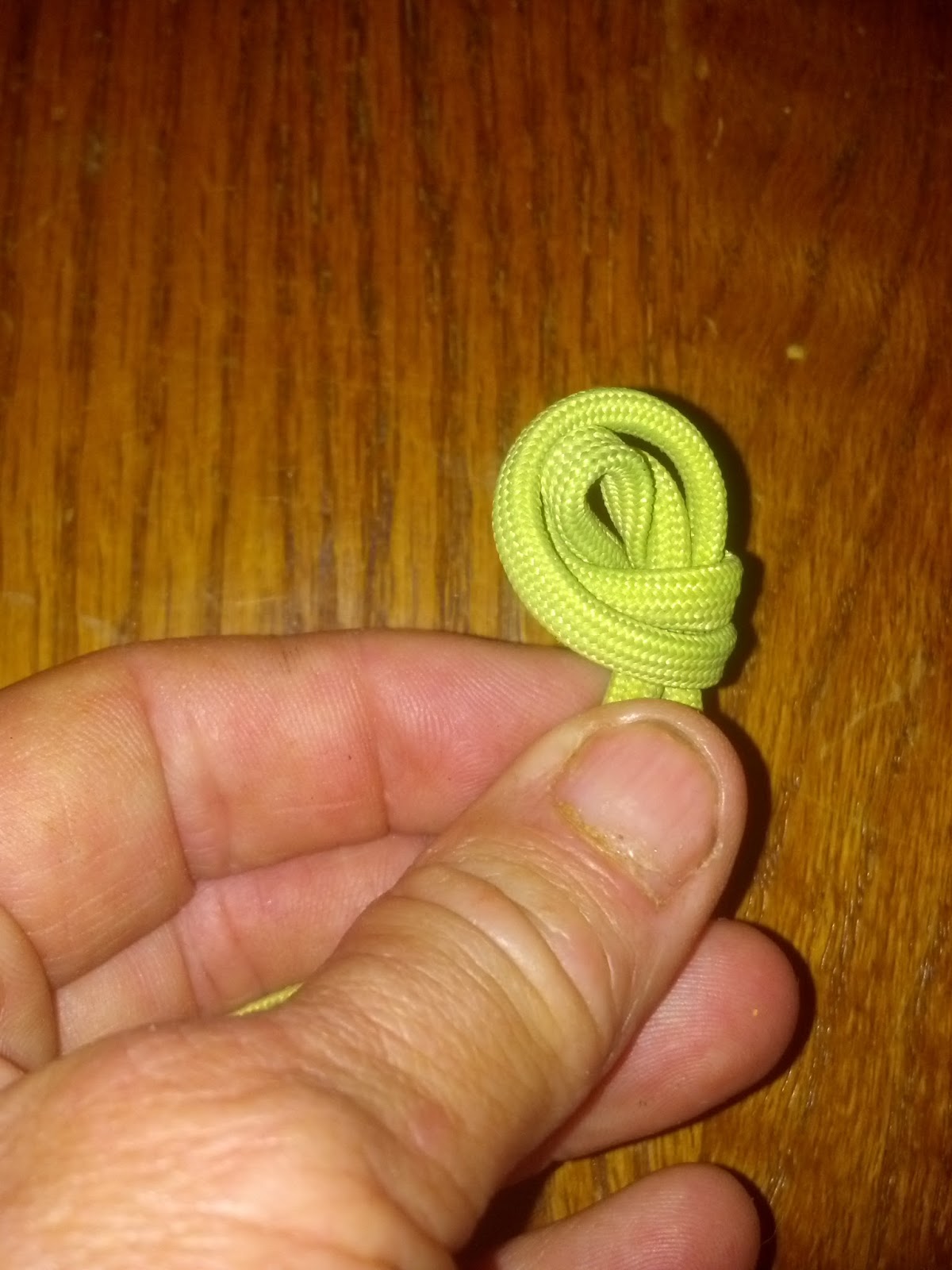 Retriever Training Program: From 7-8 weeks old: Use until formal ...