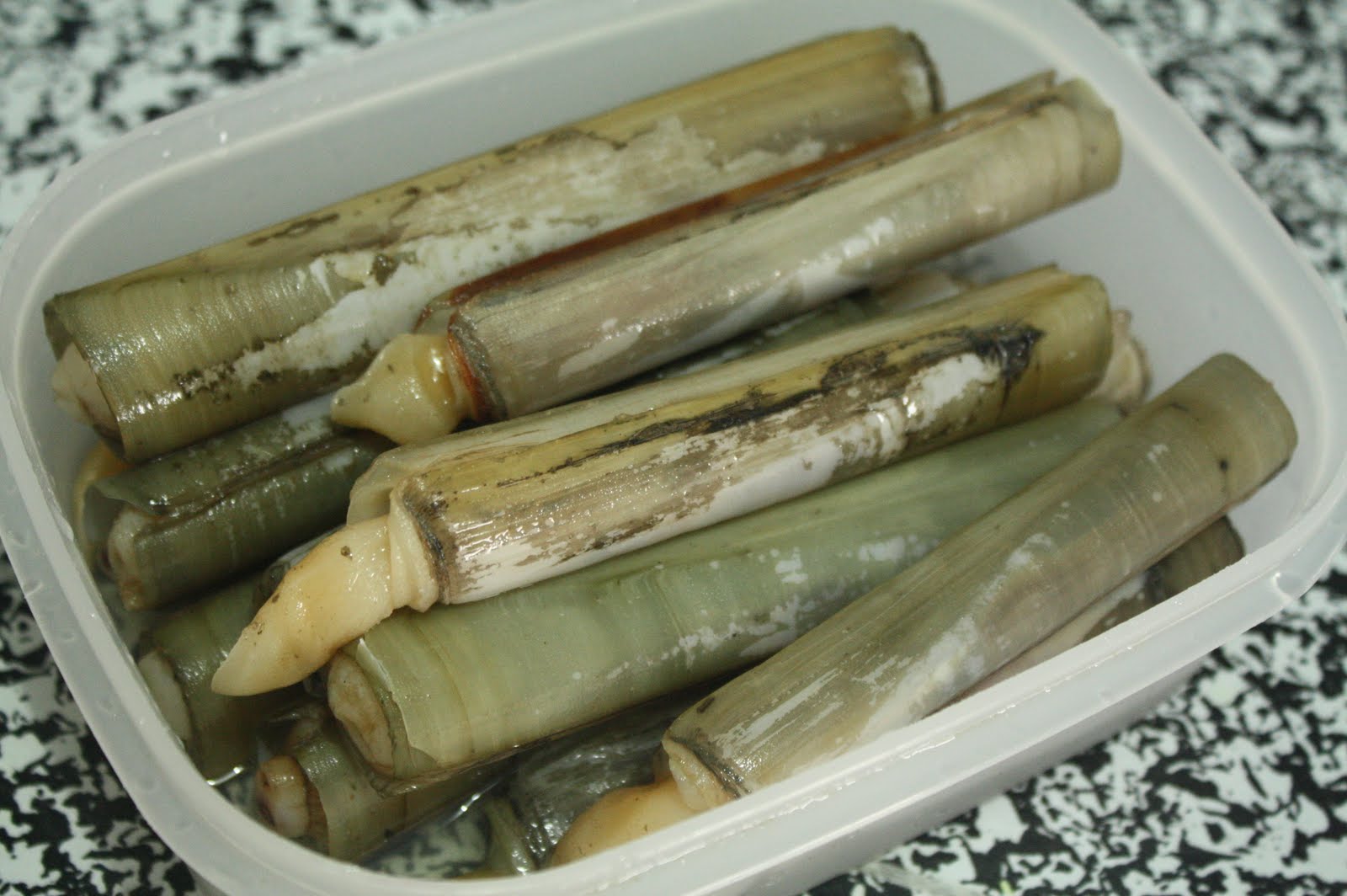 *Open till midnite...*: Siput Sepahat