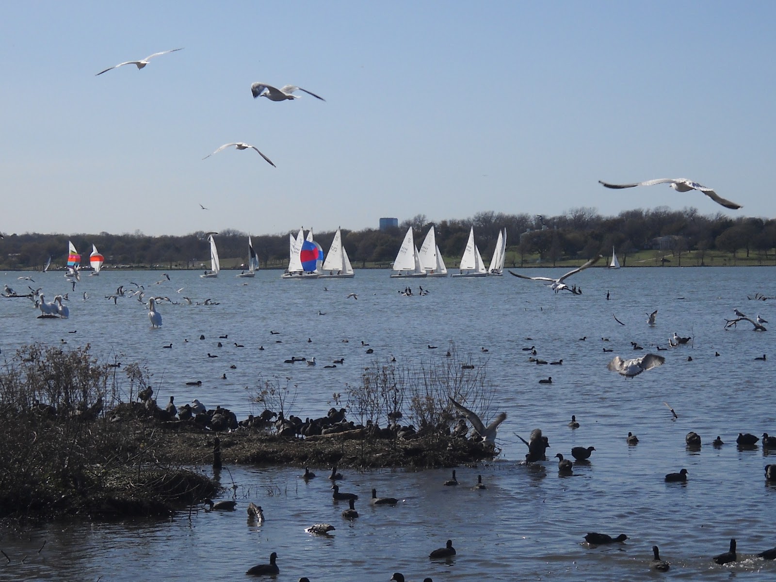 White Rock Lake, Dallas, Texas: White Rock Lake, Dallas – a Hidden Gem