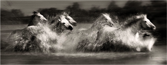 Zoo Project: Wildlife Photographer - Steve Bloom