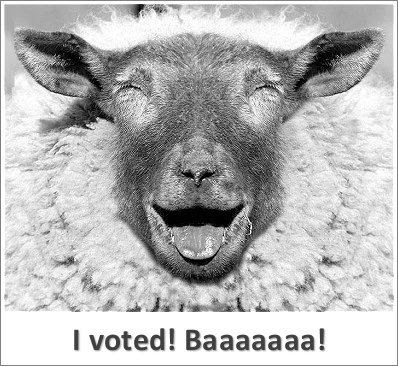 Skeptical Eye: "I Voted!"