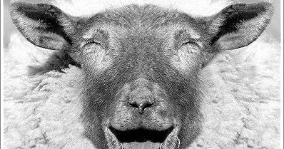 Skeptical Eye: "I Voted!"