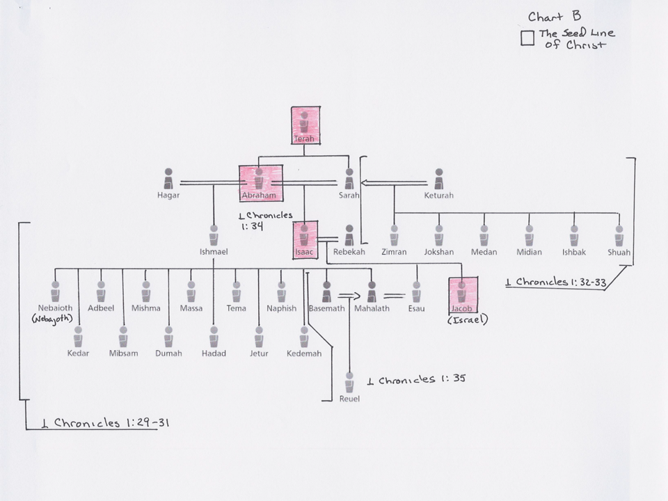 Jacob And Esau Family Tree