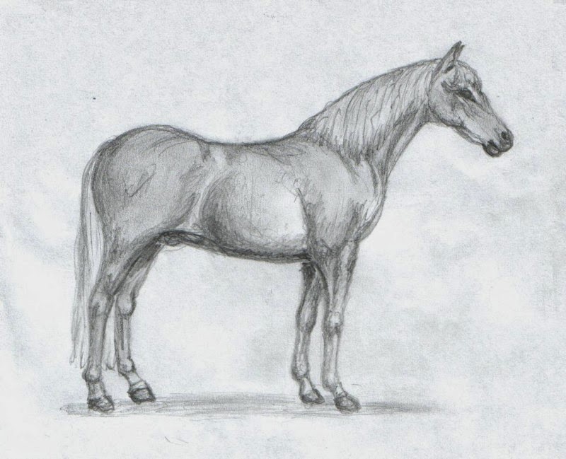 ArtHowrse: Rysunki konie