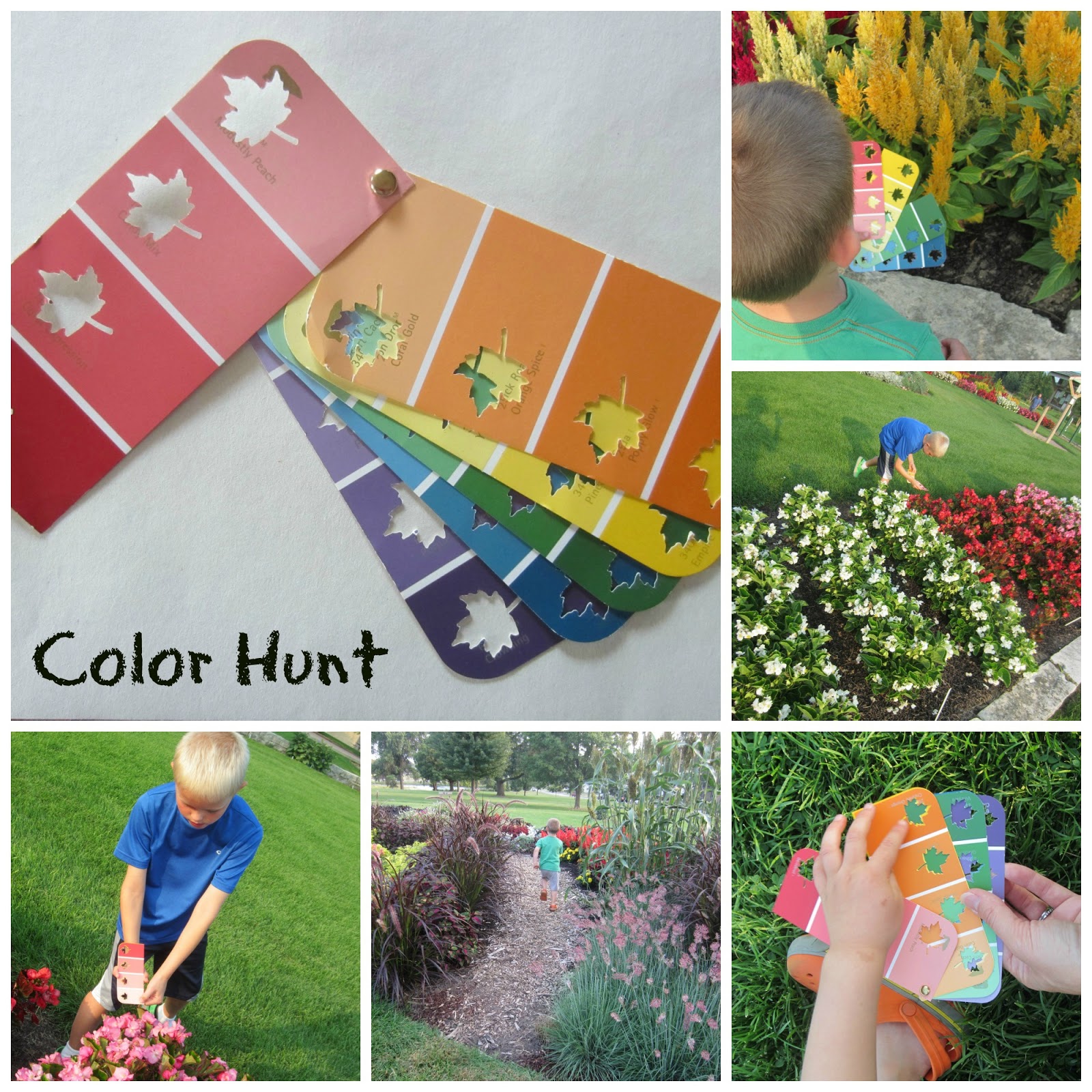 Relentlessly Fun, Deceptively Educational: Color Hunt & Fruit Rainbow