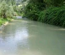 Stecca impara l'arte - ITALIANO PER STRANIERI: 187 - Le acque interne