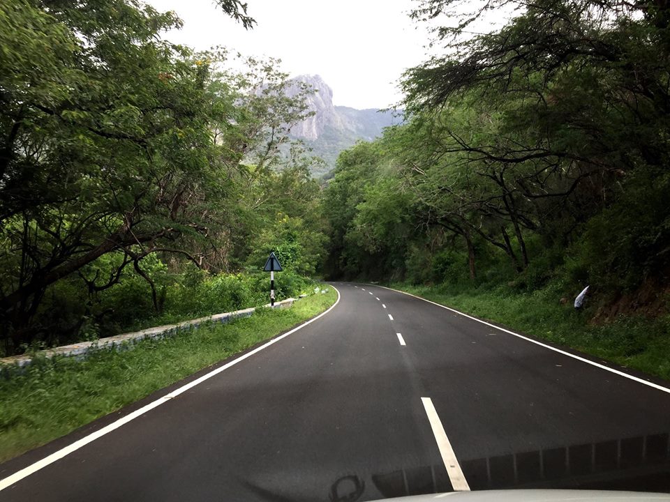 The jewel of South Yercaud - aalmaramspot