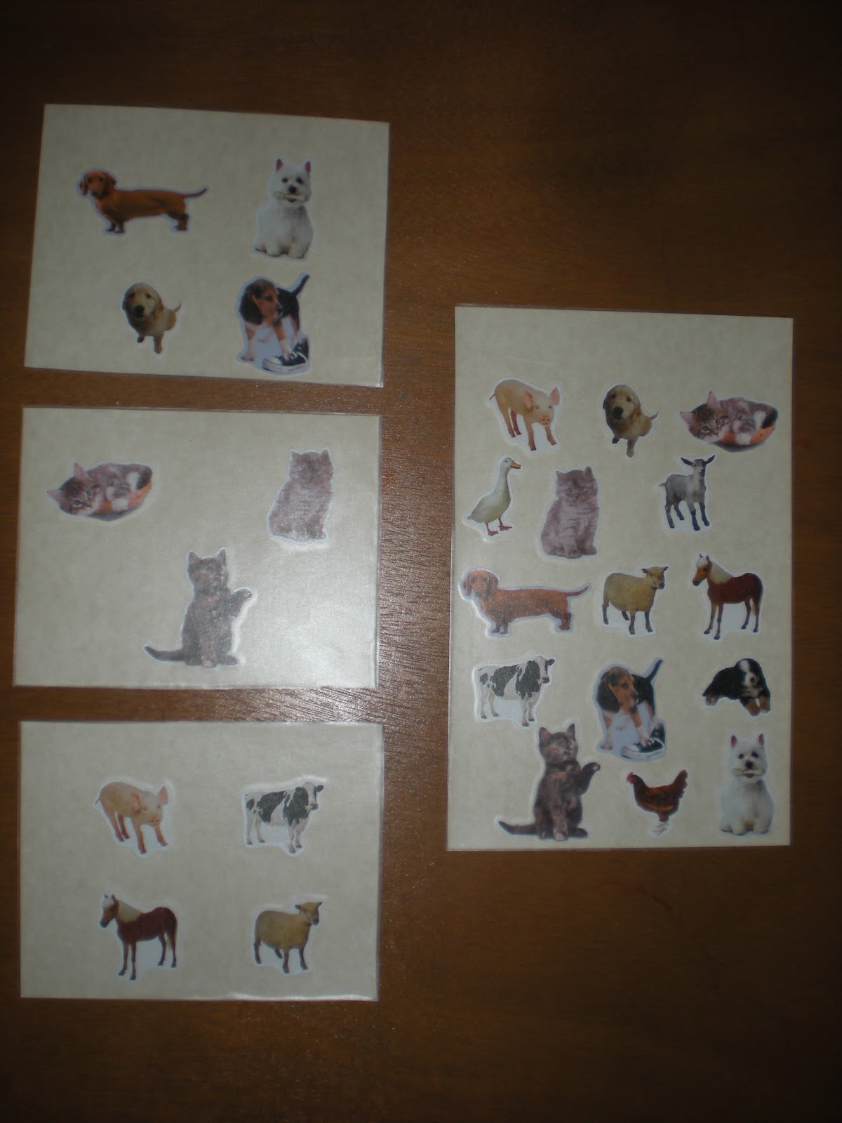 Play Through the Day: Quick & Easy Visual Discrimination Cards