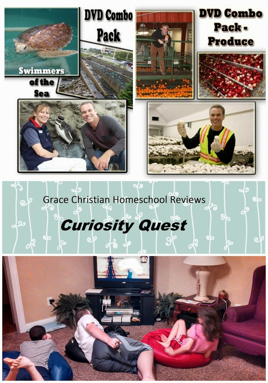 Grace Christian Homeschool: Review: Curiosity Quest