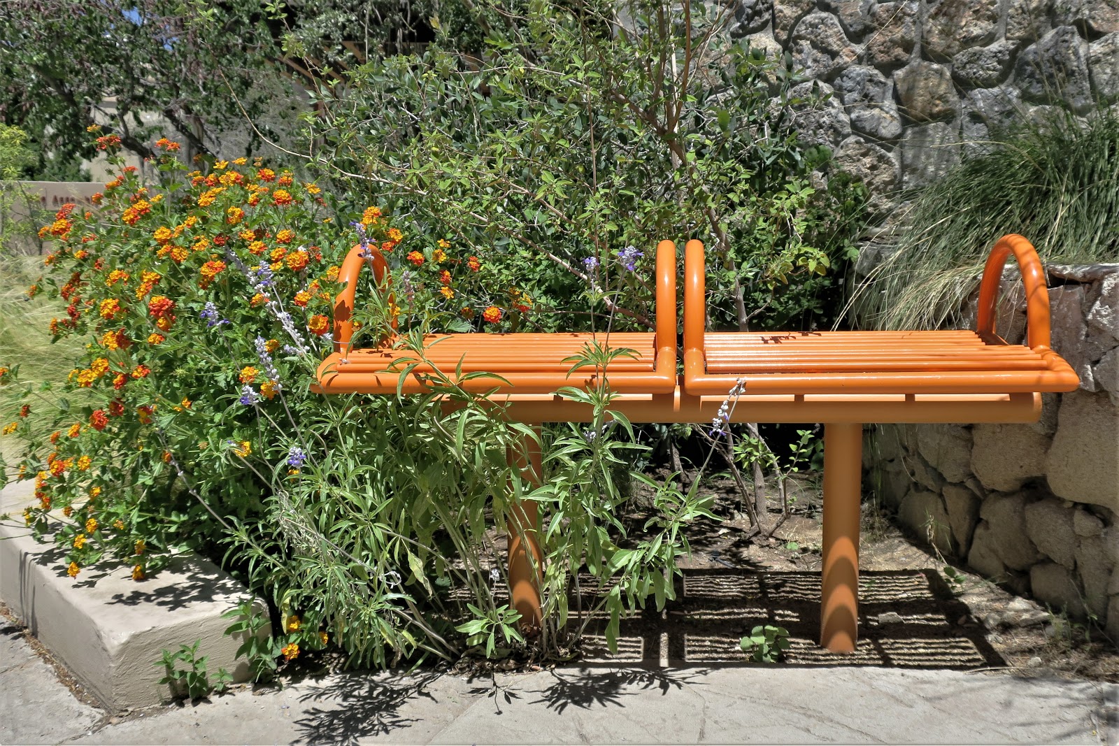 Living Rootless: El Paso: UTEP: Orange Bench