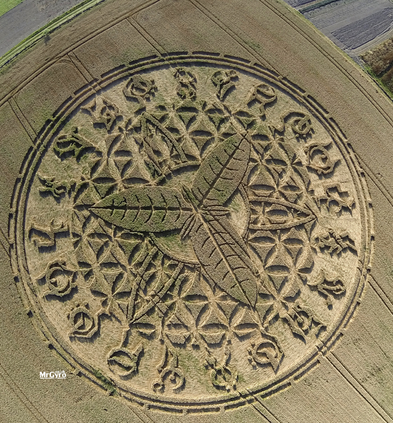Images Of Crop Circles