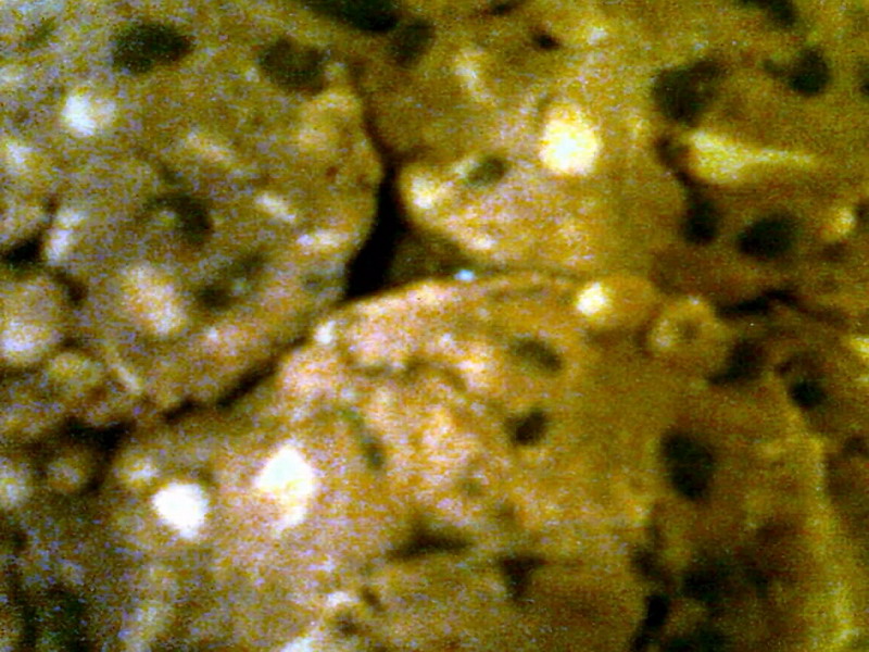 rina's cookies