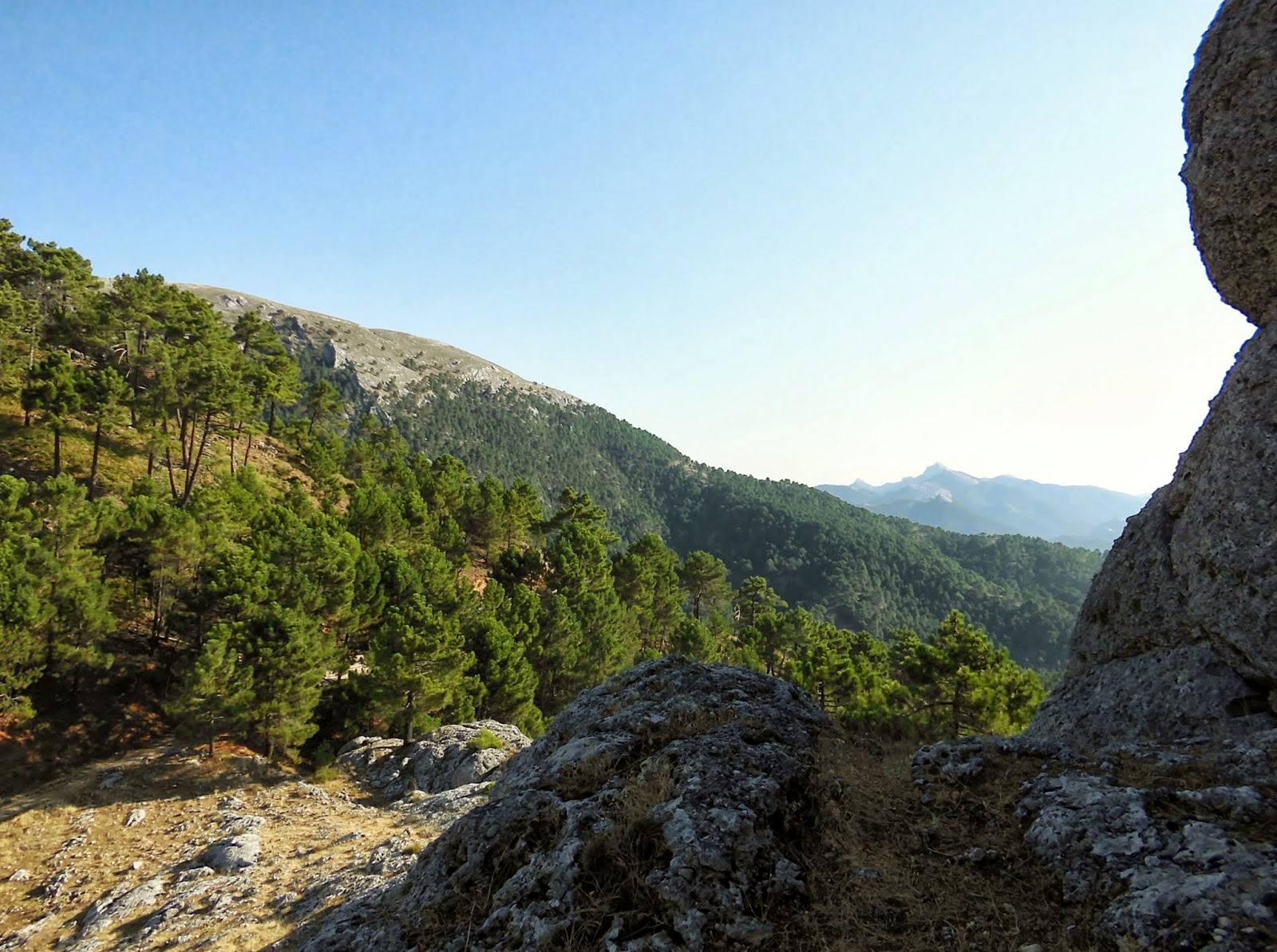 Club de Senderismo Los Escuderos de Rus (Jaen): ARROYO DEL TEJO, LOS ...
