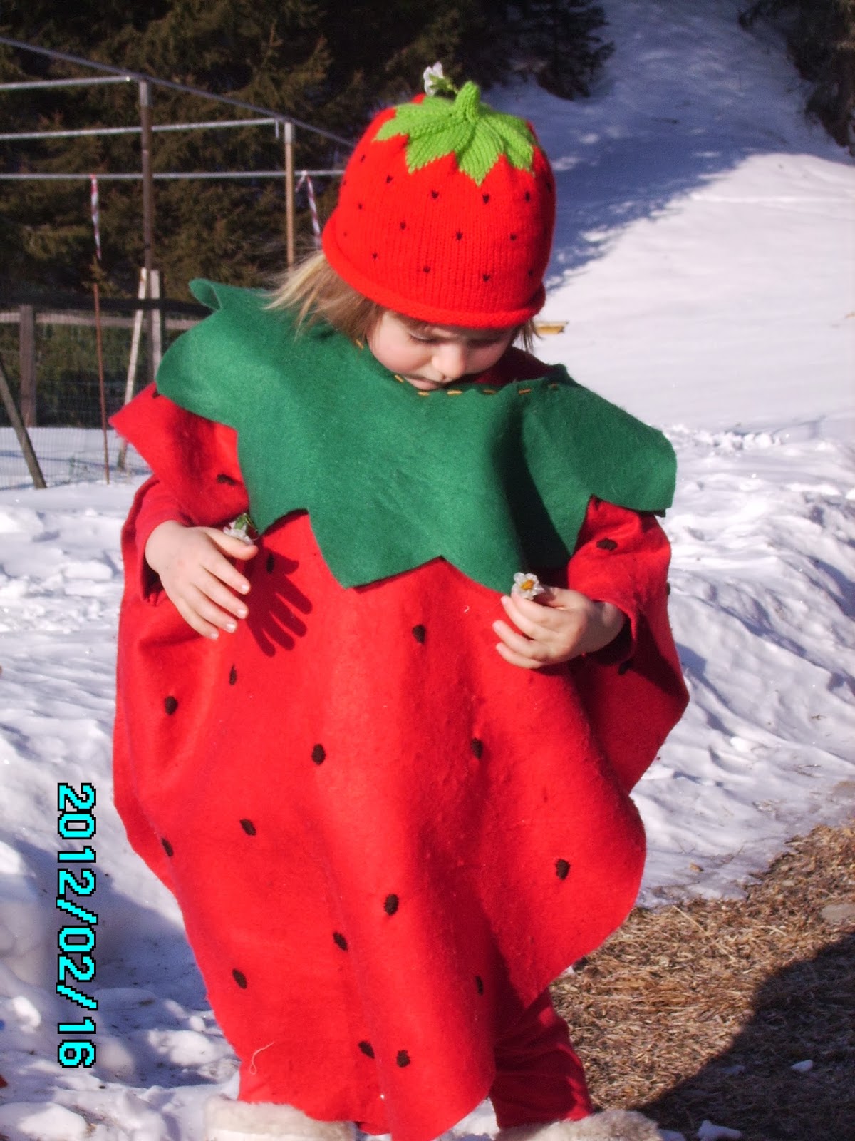 La Casa di Hilde: Costume da FRAGOLINA