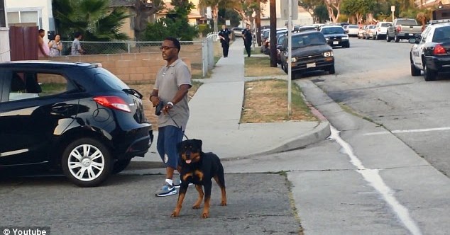 Rottweiler's Kingdom: California Cops shoot a Rottweiler dead in front ...