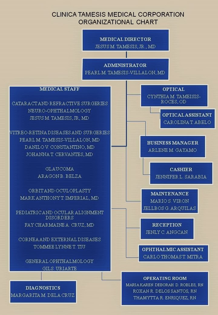 CLINICA TAMESIS EYE CENTER: ORGANIZATIONAL CHART