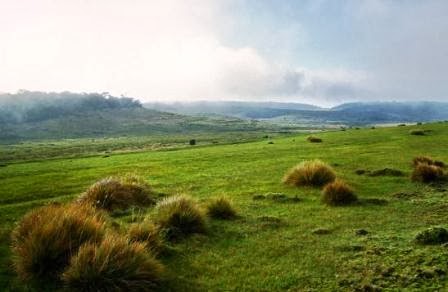 HORTON PLACE IN SRI LANKA | Number One Travel Destination