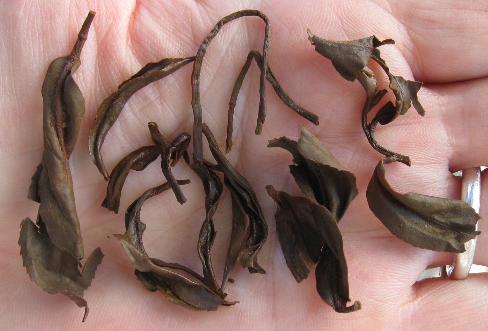 A Tasting A Day: 2012