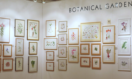 MAKING A MARK: Prizewinners at the Society of Botanical Artist's Annual ...