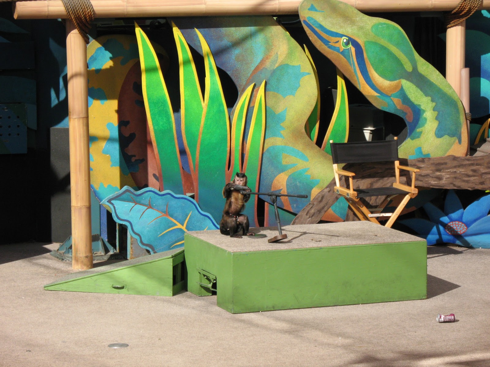 Martin & Susan Johnson - World Tour