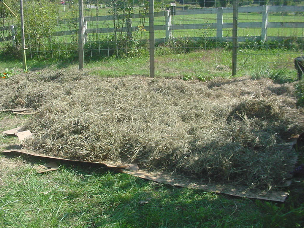 Gardening along the creek...: Sheet Mulching for Food Forest Farming