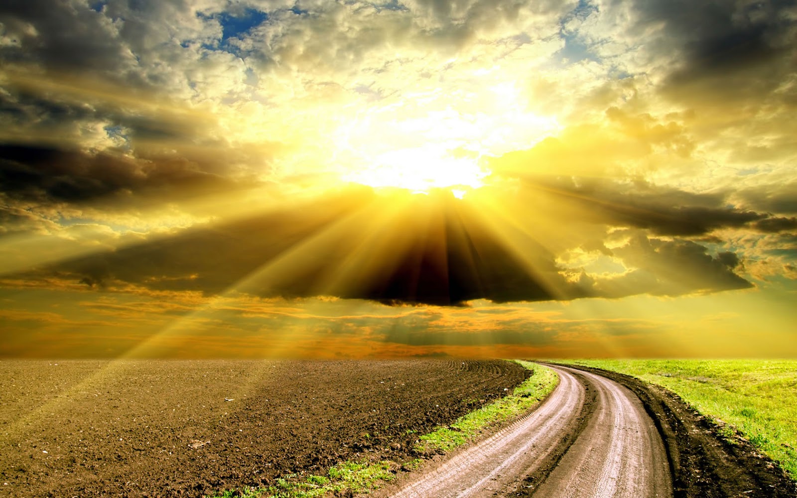 Rayos del Sol en carretera - Fondos de Pantalla HD - Wallpapers HD