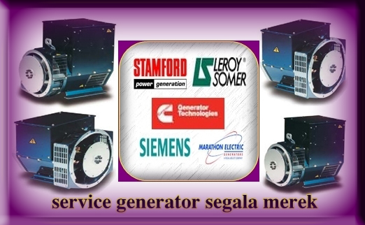 SERVICE GENERATOR / ALTERNATOR GENSET - SERVICE GENSET