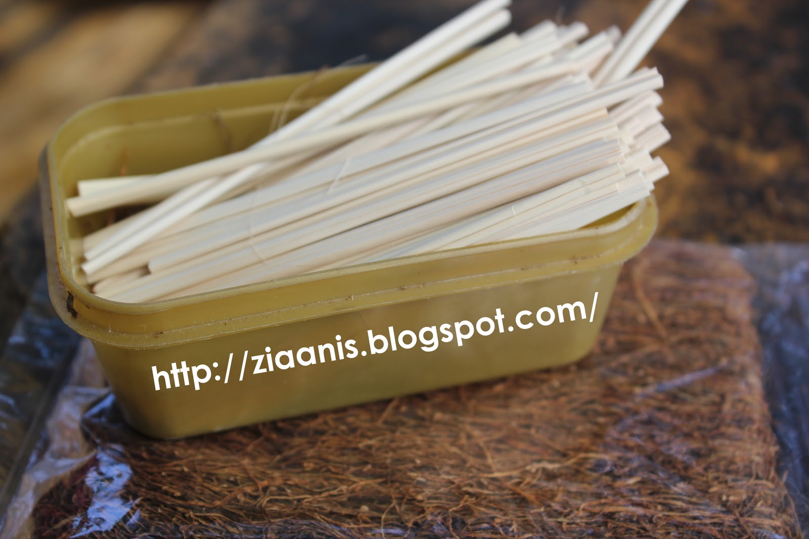 Zia Anis: Rokok daun