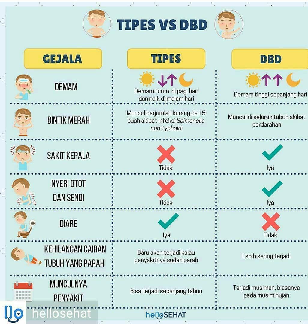 WASPADA Gejala DBD (Demam Berdarah Dengue) - KIM CENDEKIA
