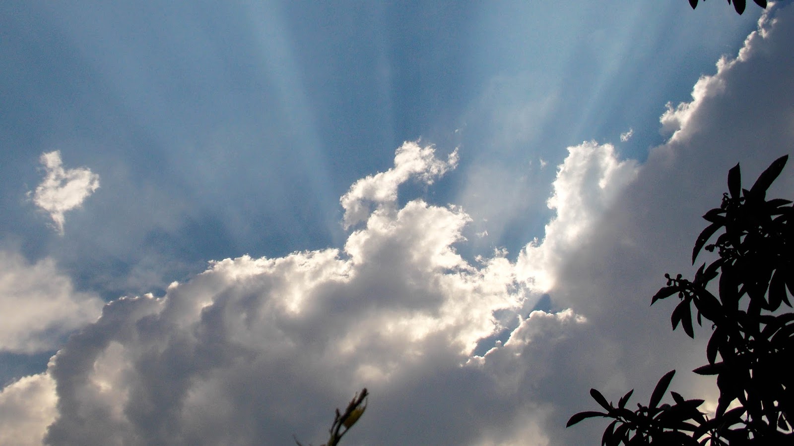 Rayos de sol wallpapers