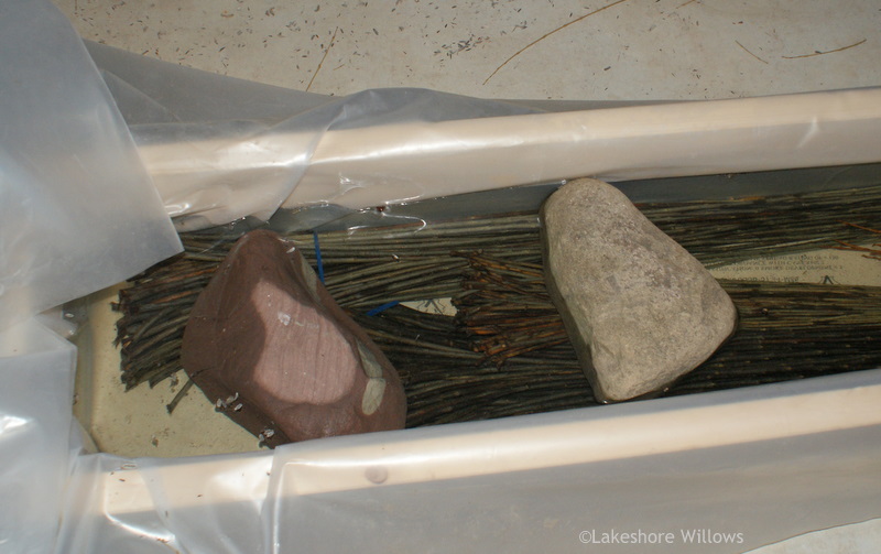 Willows: Flexible Willow Soaking Facility