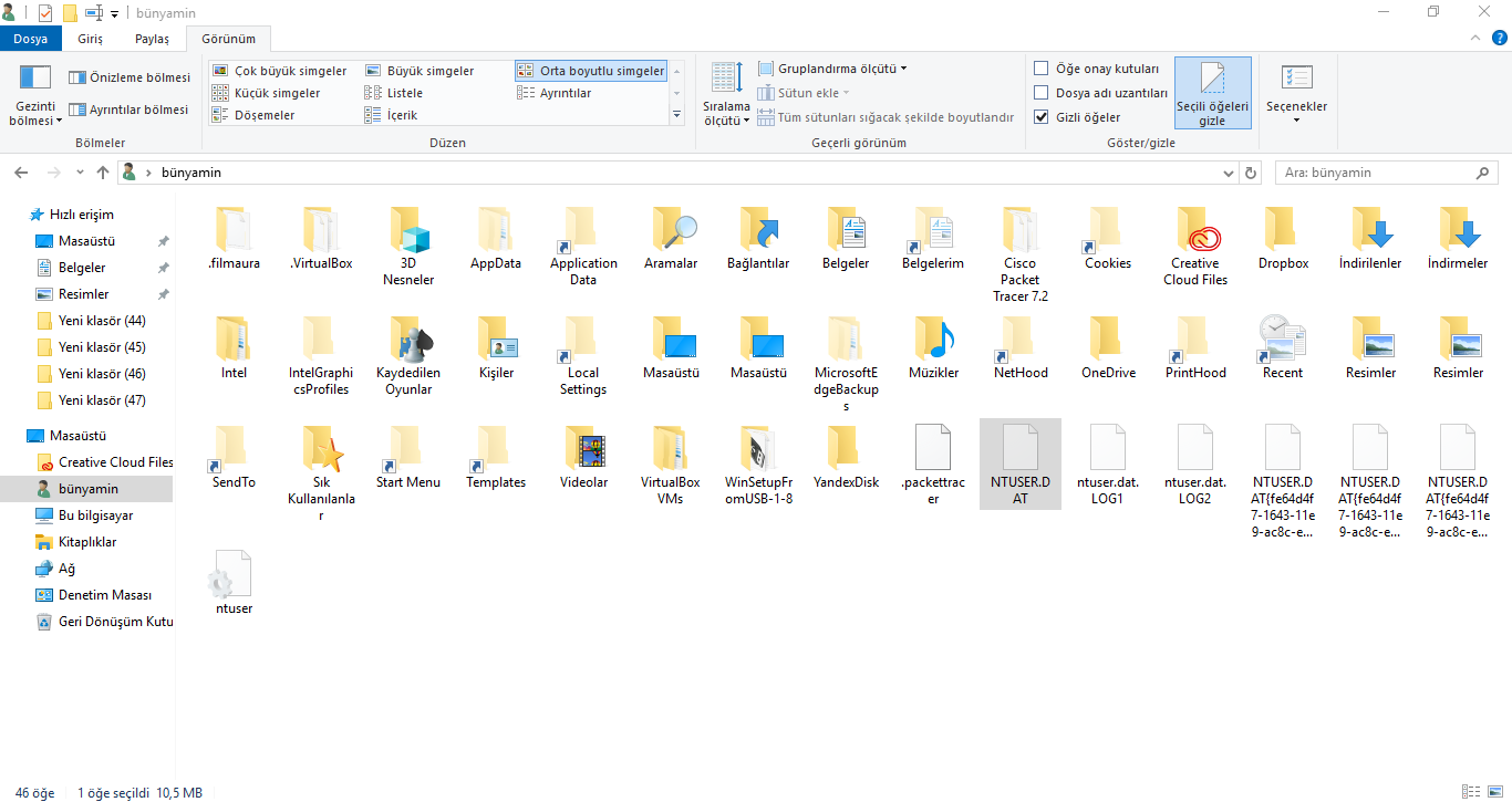 NTUSER.DAT dosyası Windows'ta nedir?