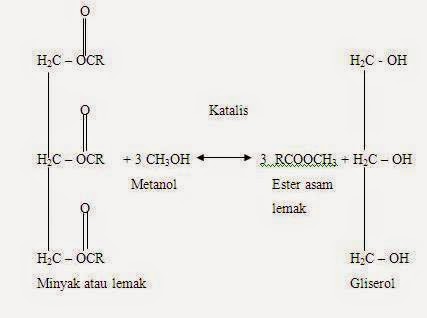 Rina Krisnayana: Proses Pembuatan Biodiesel