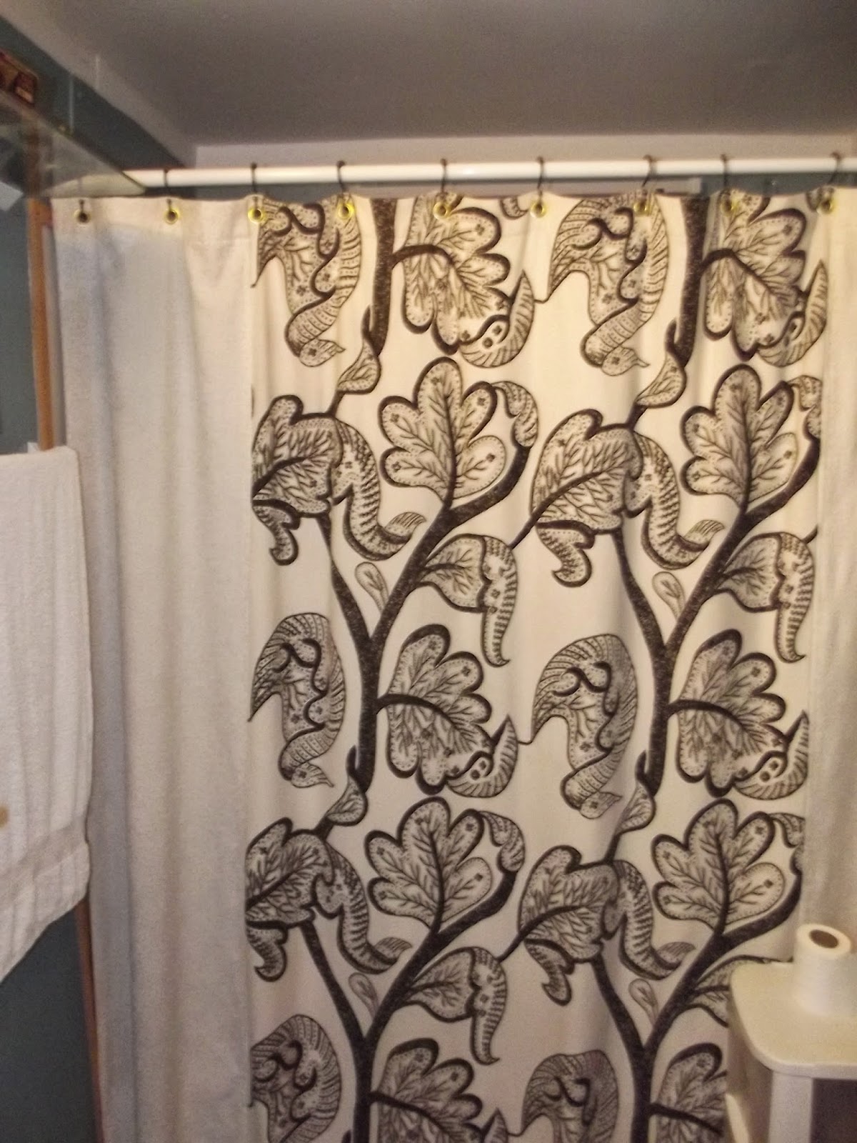 Cranberry Acre: The ever changing house