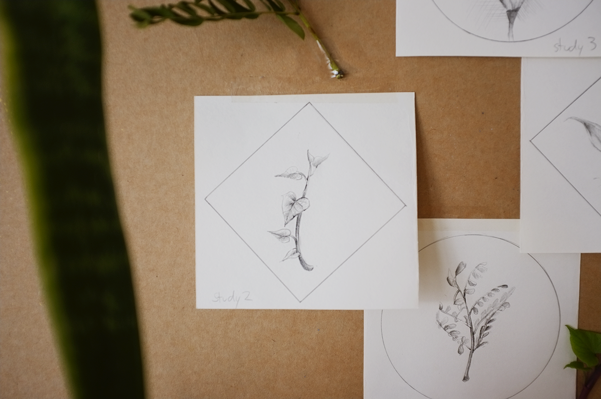 How to: Geometric plants drawing studies - Alena Moon