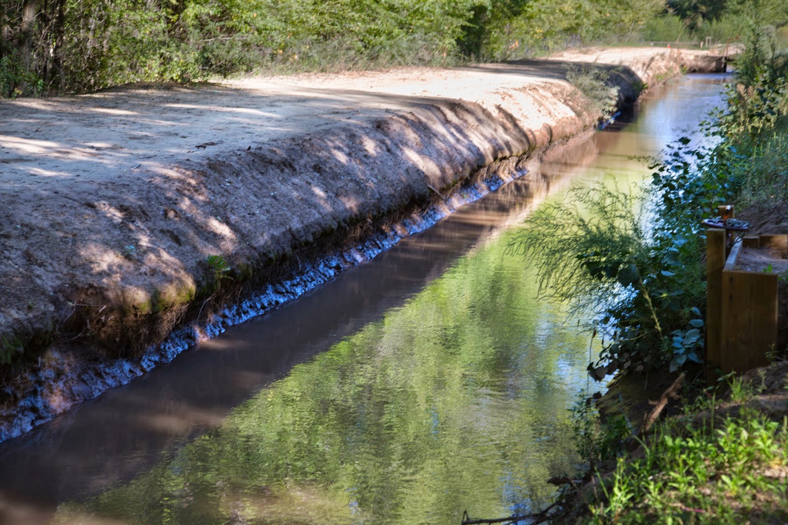 Miriam Hall Photography: Reflections on the Ditch