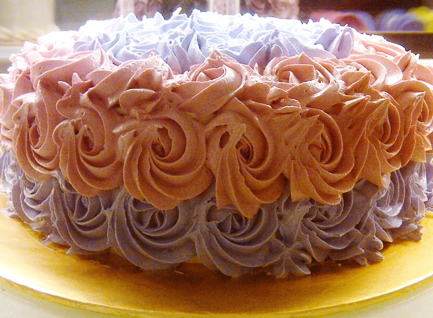 Just Lildaisy ( Ampang ): Rosette Cake Designs