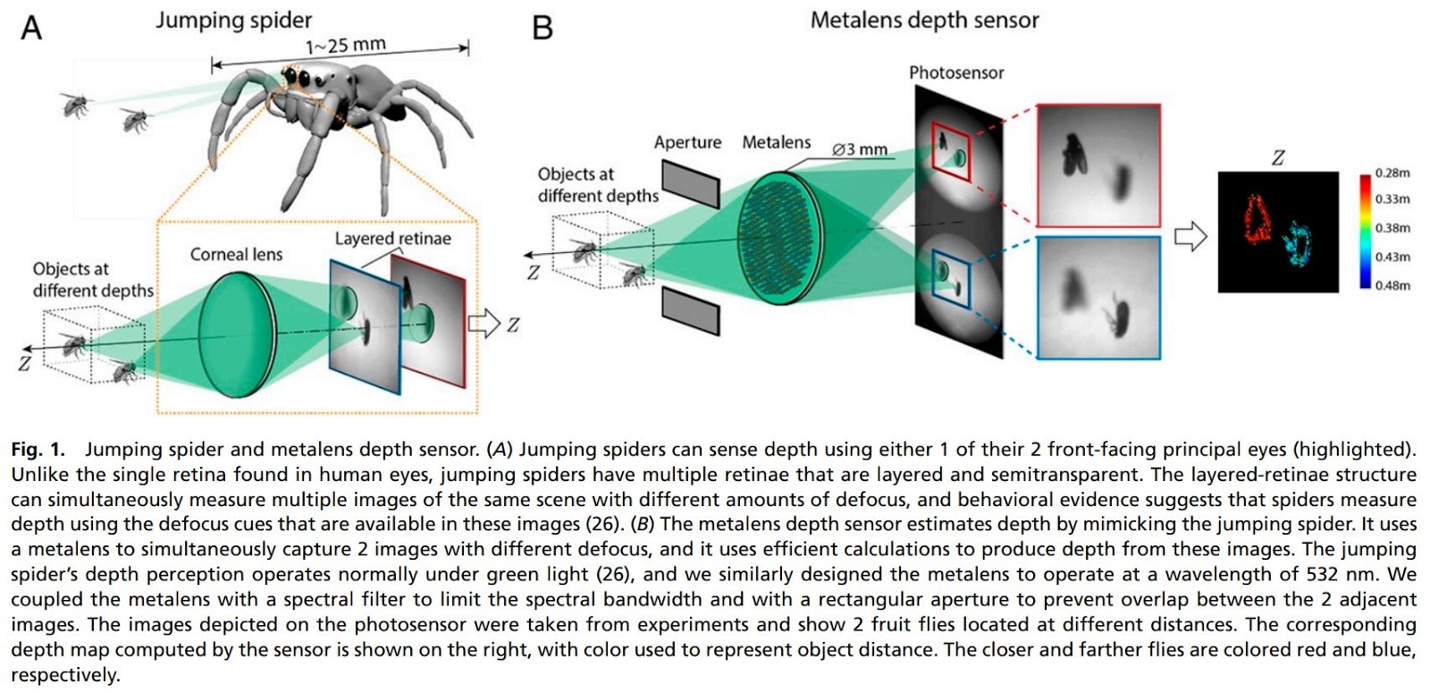 Image Sensors World: Harvard University Group Proposes Metalens for ...