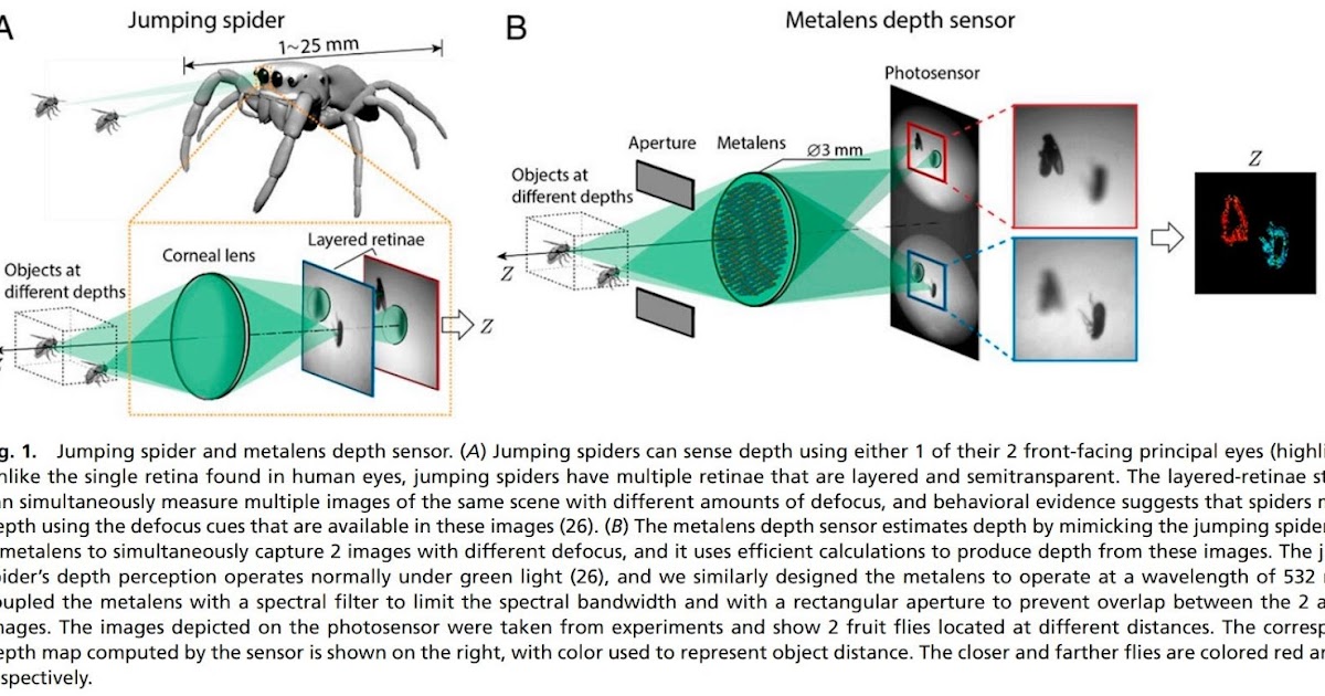 Image Sensors World: Harvard University Group Proposes Metalens for ...