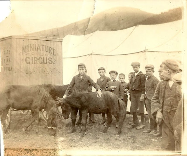 34 Fantastic Photos That Capture Innerleithen Area, Scotland Around ...