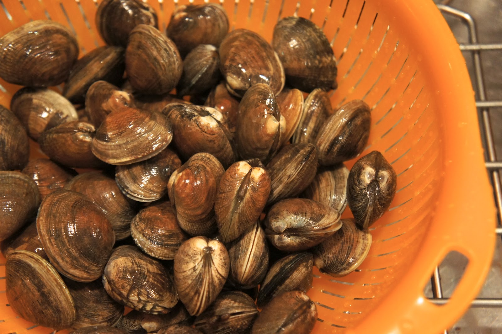 Clams with Tomato, Basil and Garlic Soy Sauce